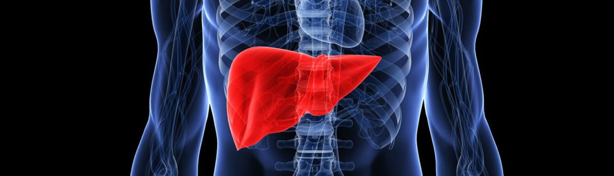 Liver Donations - Our Commitment to Saving Lives | Donate Life